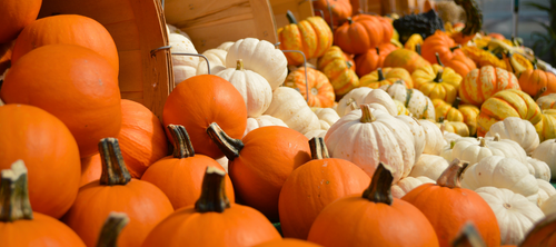 Market Fresh Gourmet Grocery Store